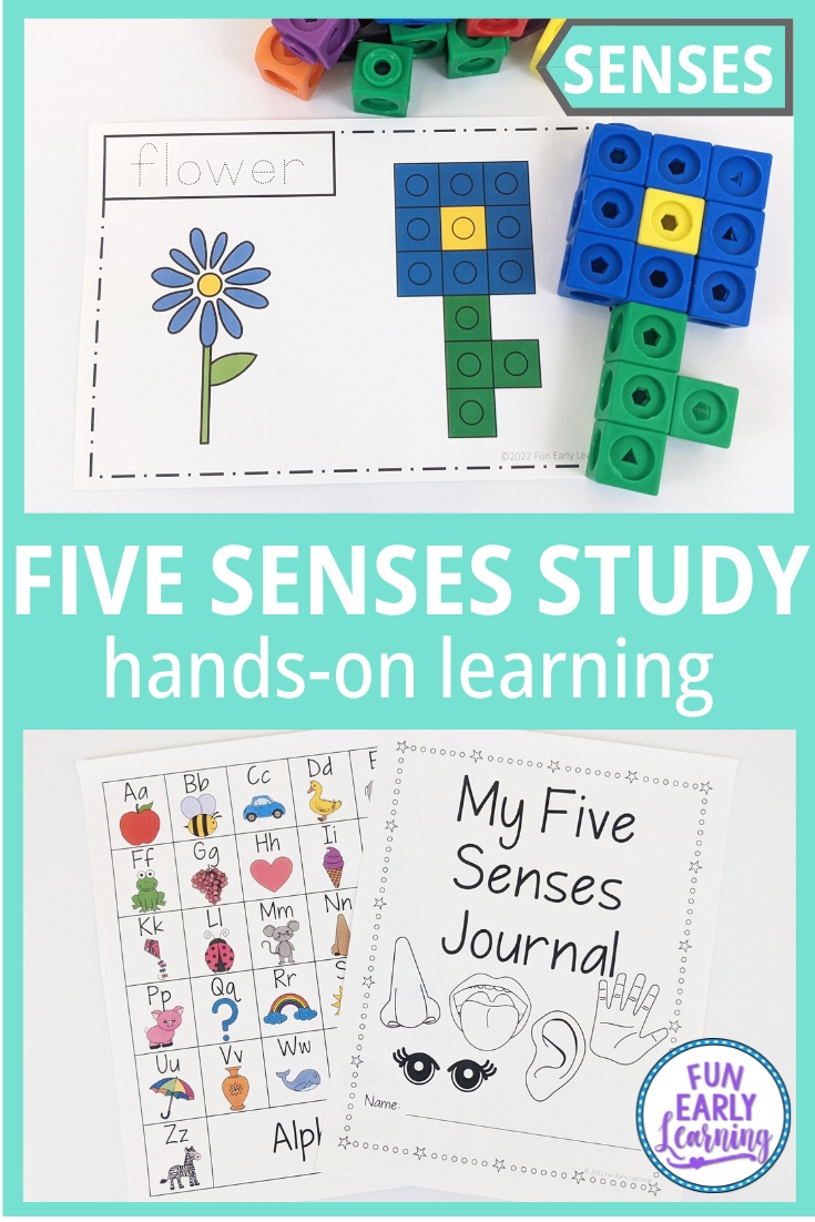 Five Senses Activities for Preschool – Fun Early Learning