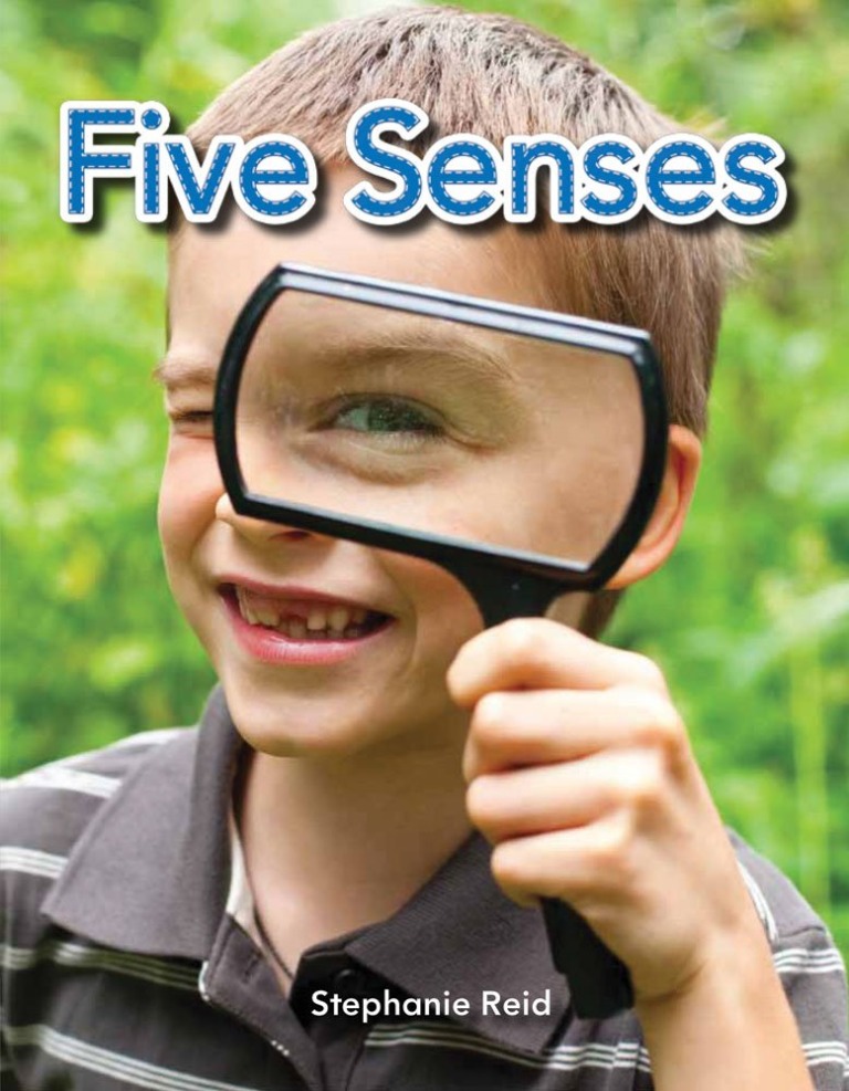 Favorite Five Senses Books for Preschool and Kindergarten – Fun Early ...