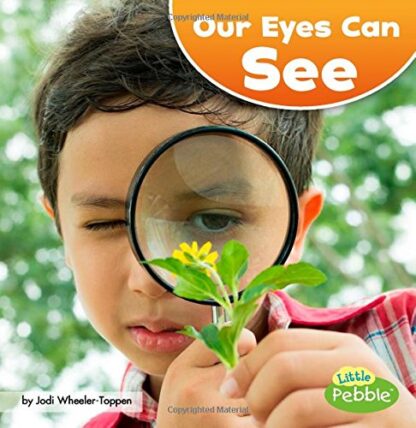 Favorite Five Senses Books for Preschool and Kindergarten – Fun Early ...