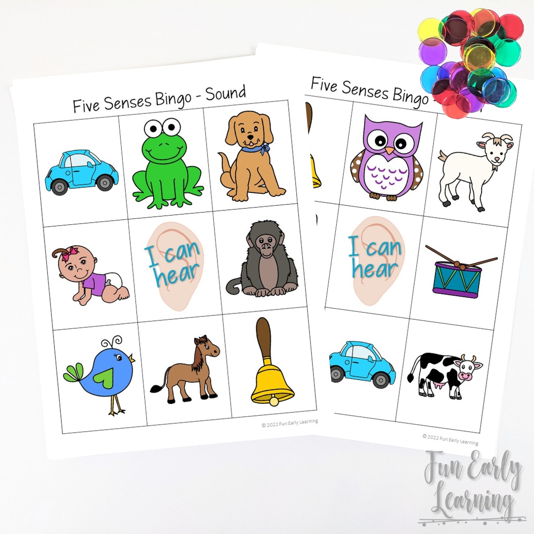 5 Must have Activities to Teach the Five Senses for Preschoolers – Fun ...