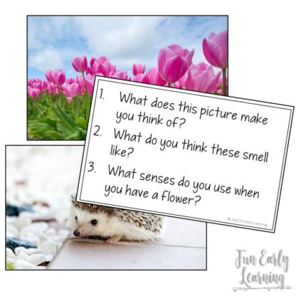 5 Must have Activities to Teach the Five Senses for Preschoolers – Fun ...