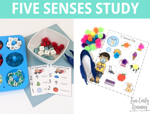 Five Senses For Preschoolers